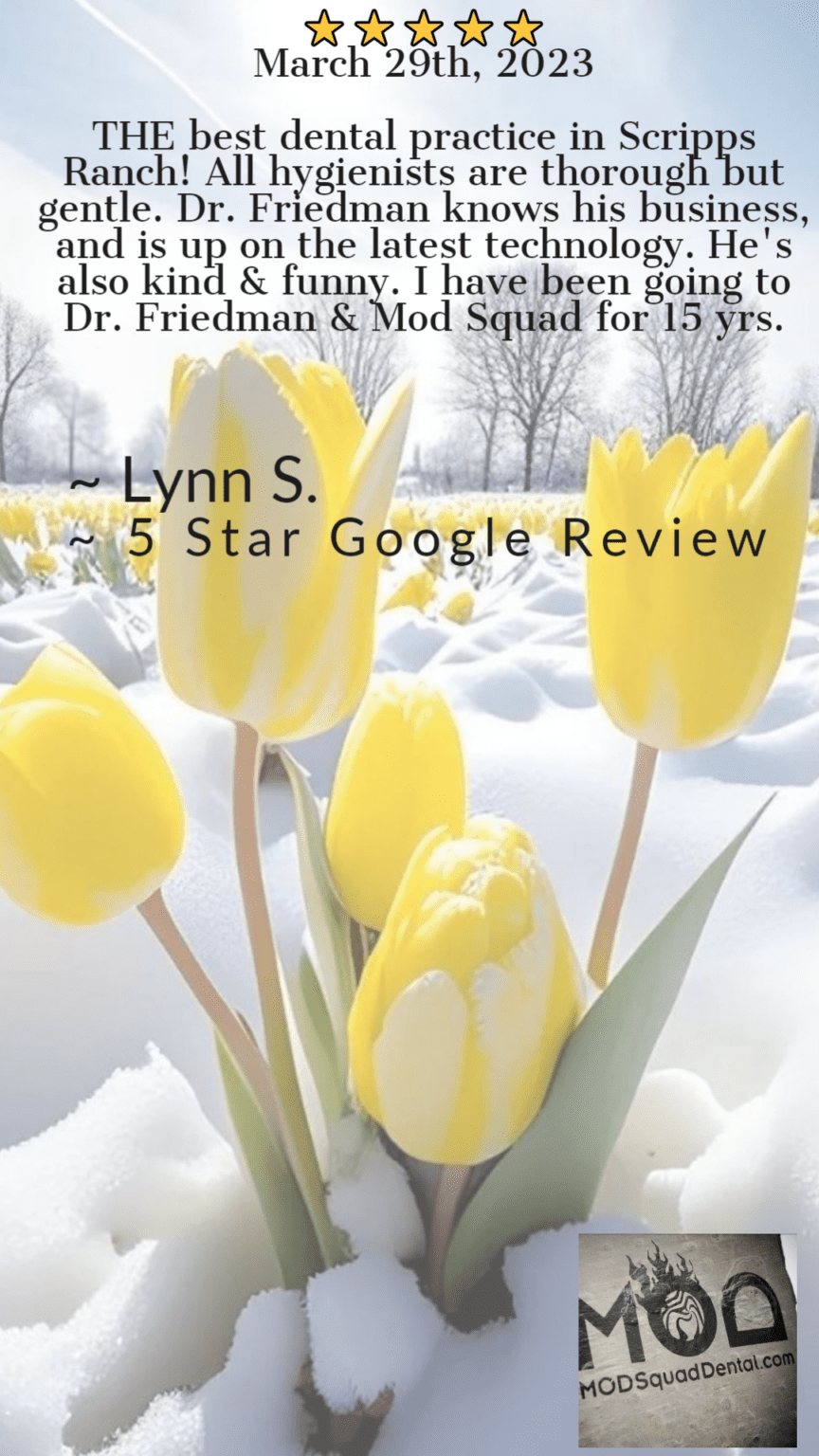 5 Star Patient Review | MOD Squad Dental